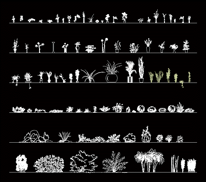 Arbustos y plantas 2d - BLOQUES PARA AUTOCAD GRATIS